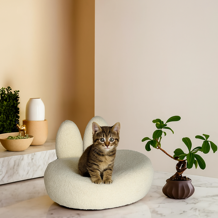 Luxury Pet Furniture in Kuwait | Bubbles & Paws